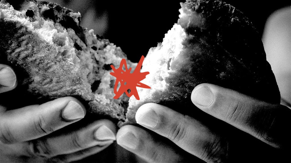 What's the difference between food allergy and an intolerance?