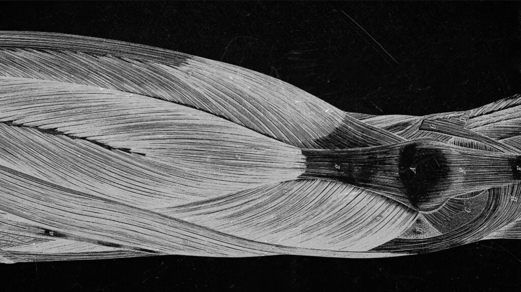 Convulsions: Causes, definition, and treatment