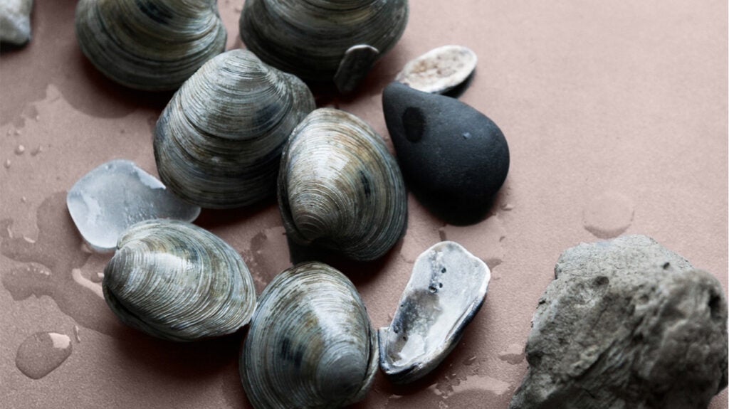 Shellfish allergy symptoms: How long they last and treatments