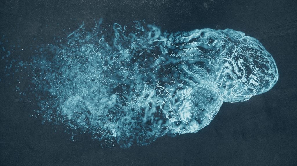 Acetylcholine: What it is, function, and links with health