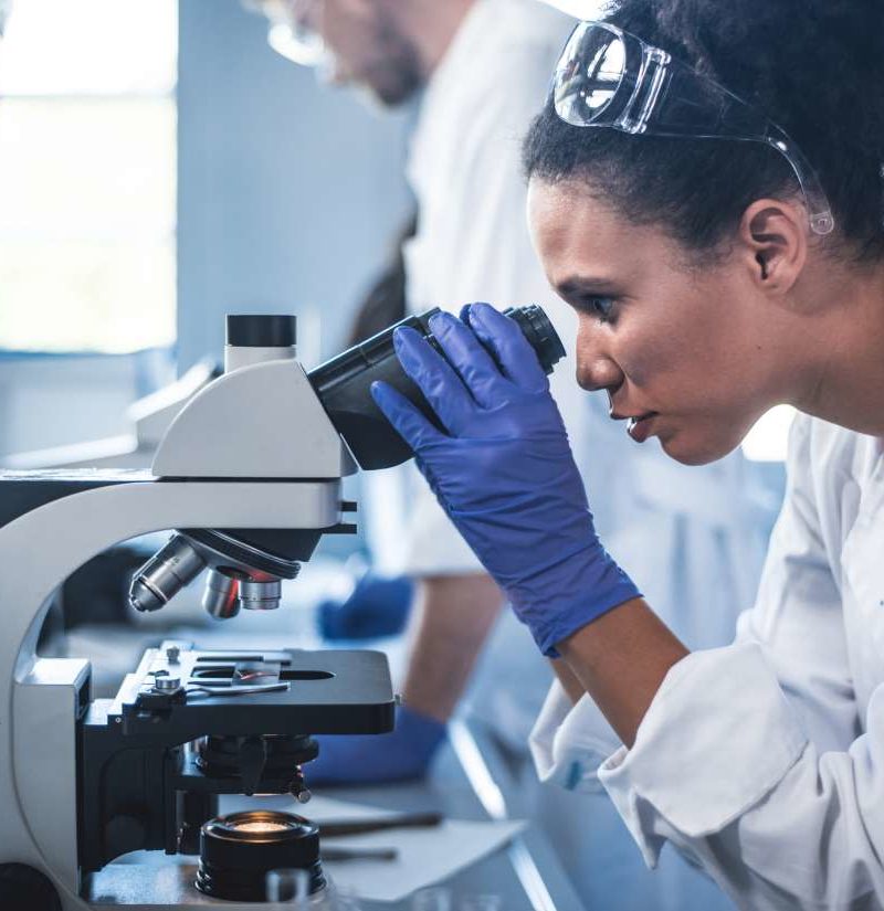 How do gut microbes help mice extinguish fear memories?