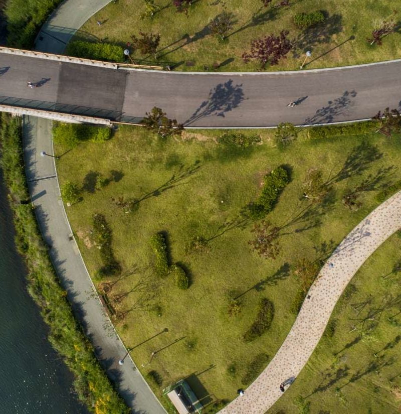 Parks with irregular shapes may boost longevity