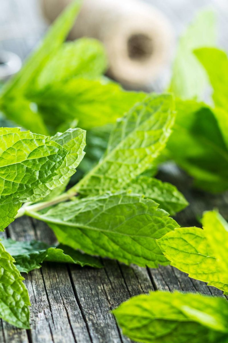 Mint Benefits Nutrition And Dietary Tips
