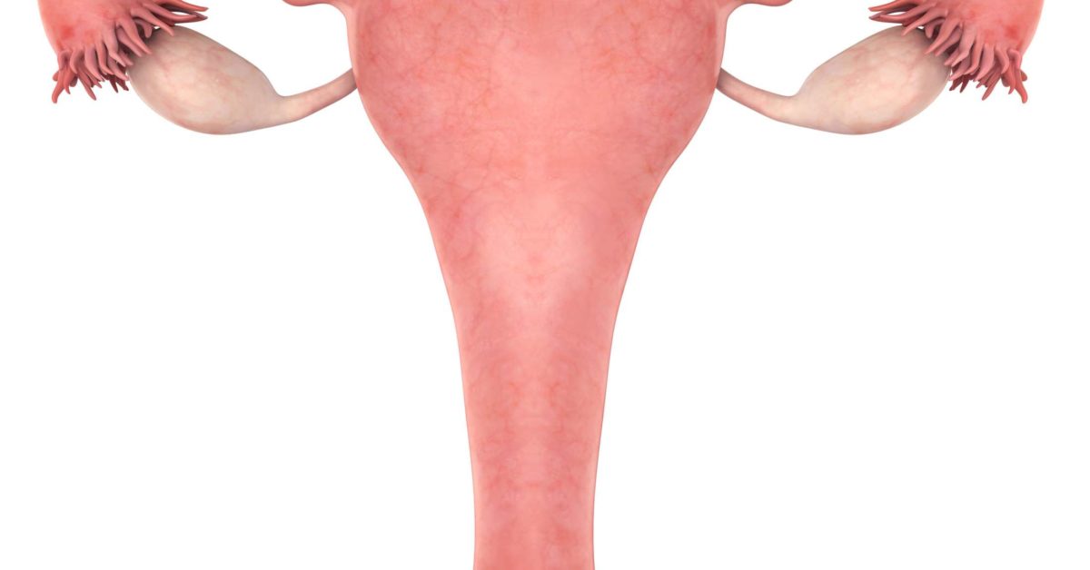 Enlarged Uterus Causes Symptoms And Treatment Enlarged Uterus Causes Symptoms And Treatment