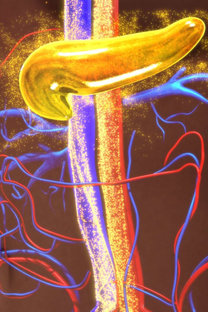 Diabetes Can Gene Therapy Normalize Blood Glucose Levels 