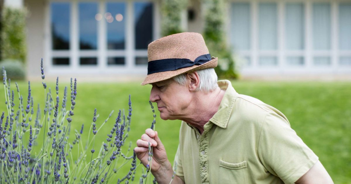 Cognitive Decline Impaired Sense Of Smell Could Be Used As Marker cognitive-decline-impaired-sense-of-smell-could-be-used-as-marker