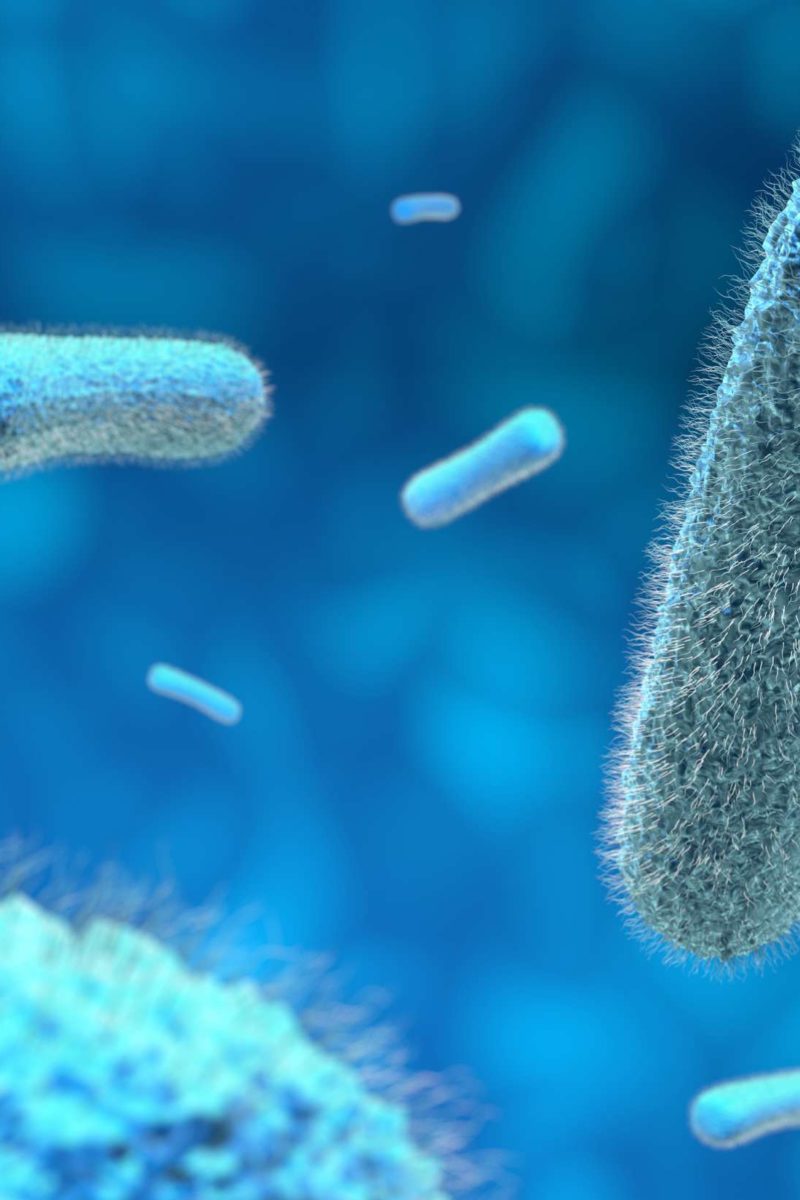 Childhood leukemia explained: Microbes play vital role