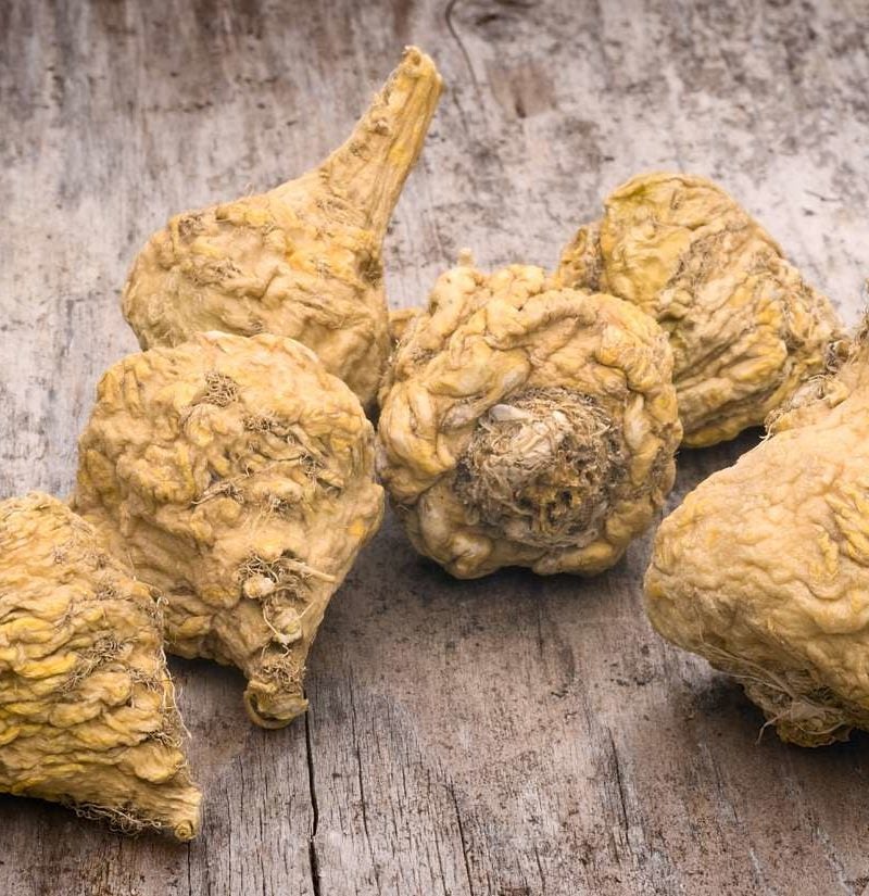 10 Health Benefits Of Maca Root 10 Health Benefits Of Maca Root