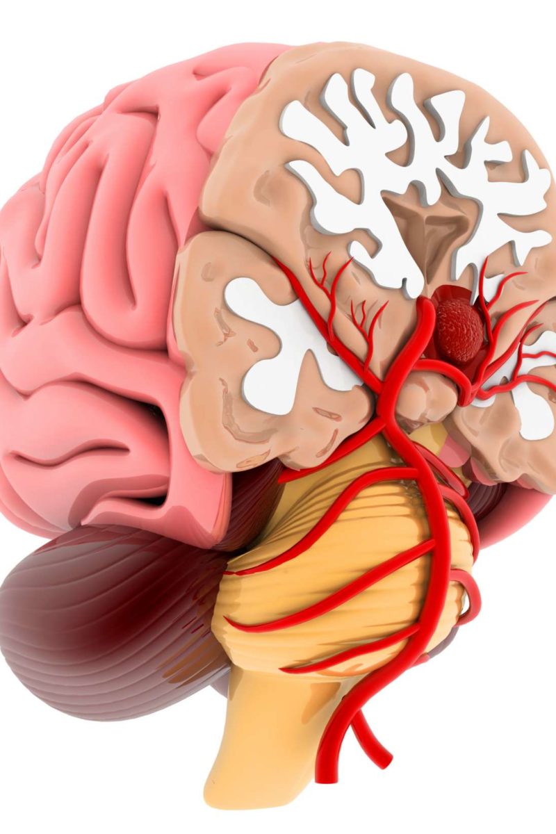 Brain area responsible for pessimism found