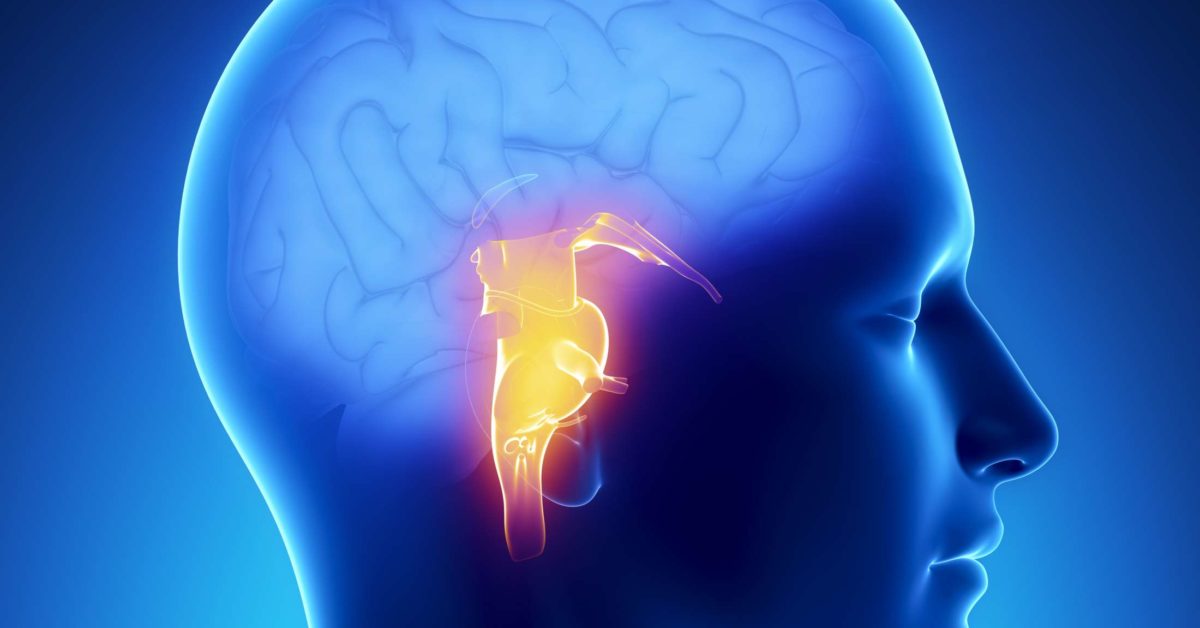 Brain Stem Stroke Symptoms Recovery And Outlook Brain Stem Stroke Symptoms Recovery And Outlook