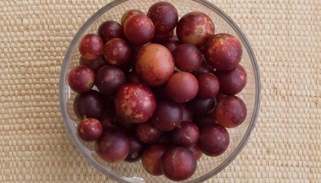 Exotic fruit may help fight obesity