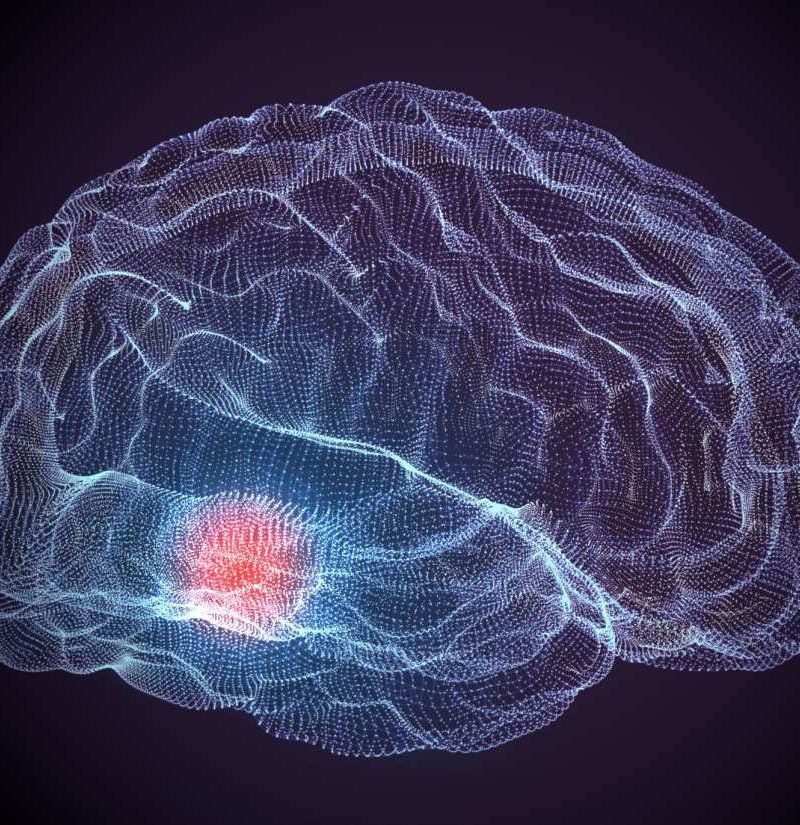 What makes aggressive brain cancer 'immortal?'