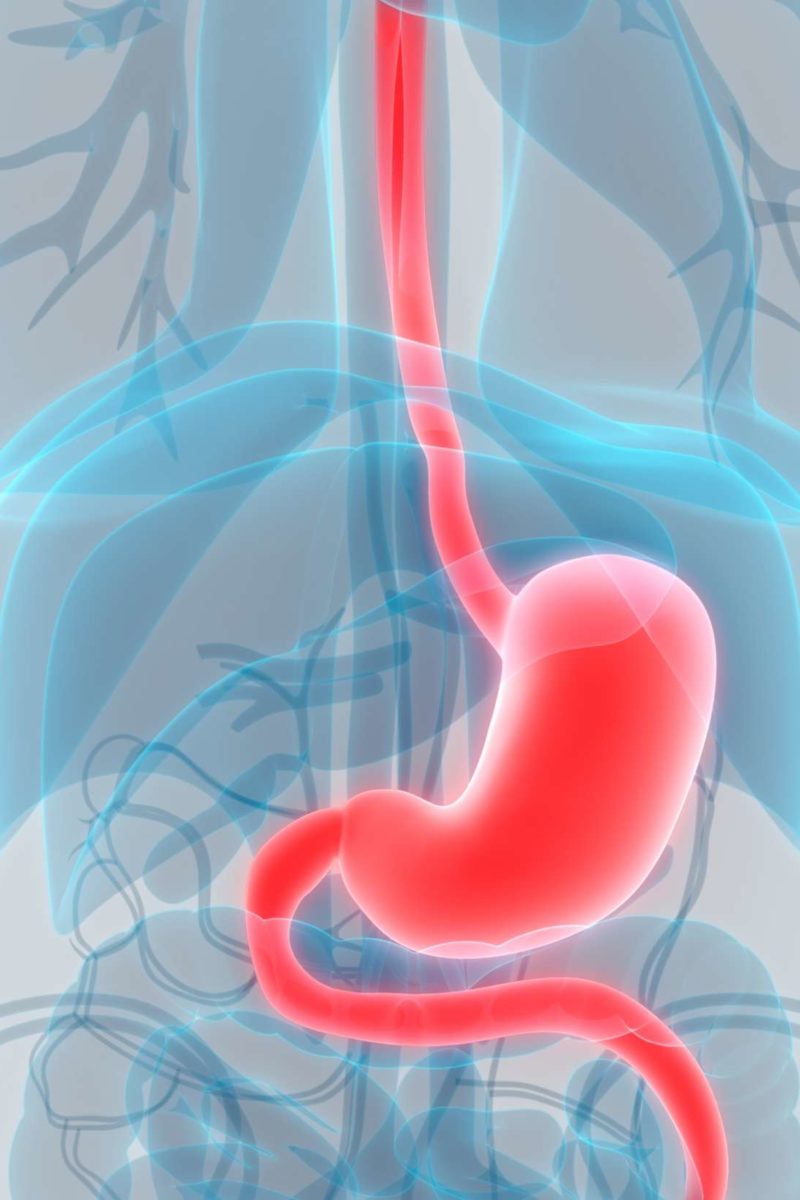Scientists create human esophagus in stem cell first