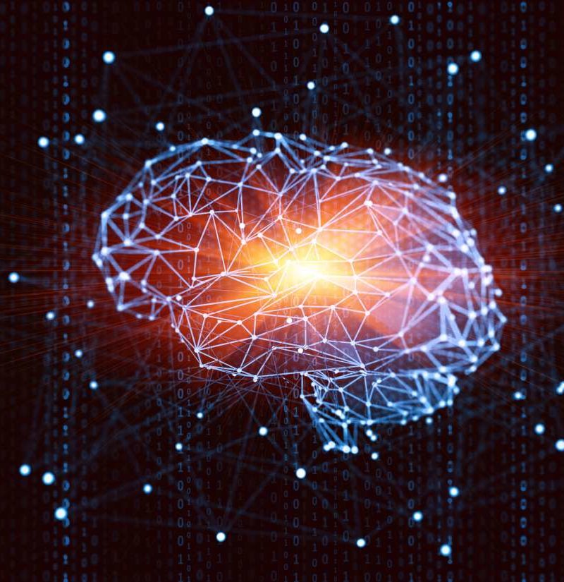 Exploring the brain networks behind our free will