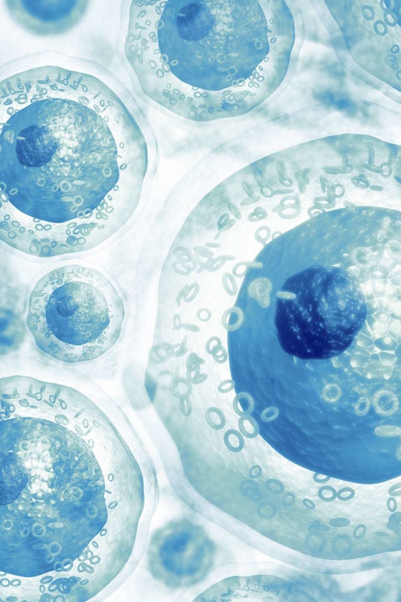 Stem cells: Sources, types, and uses