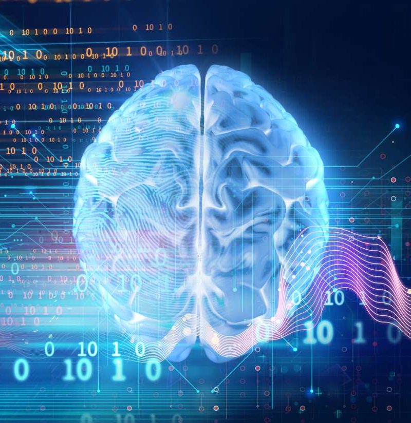 This is how your brain predicts future events