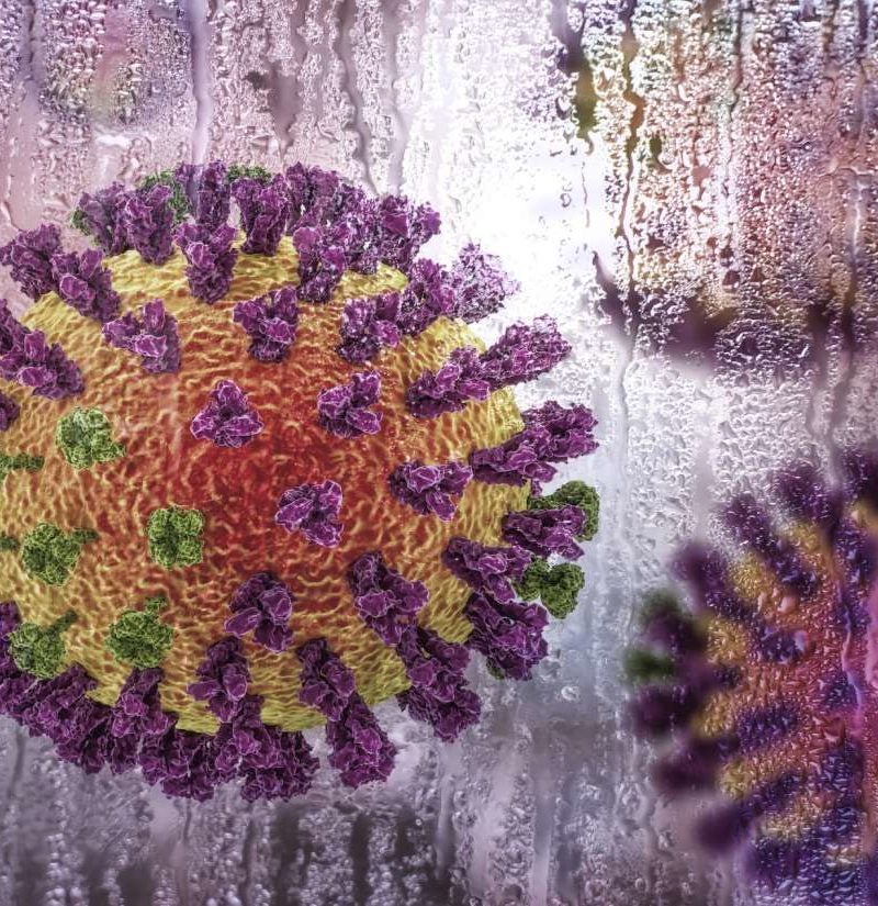 How certain bacteria protect us against flu