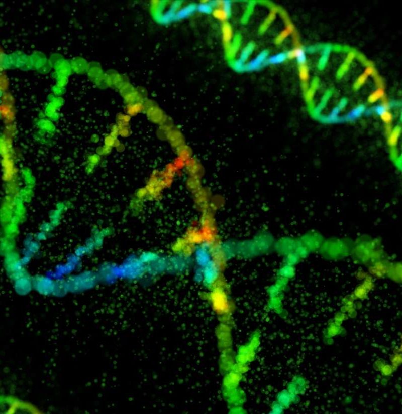 Depression: Gene-activating drug reverses symptoms in mice