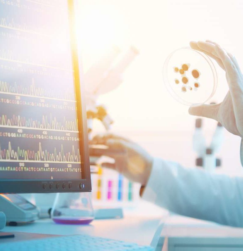 Programming bacteria to fight cancer