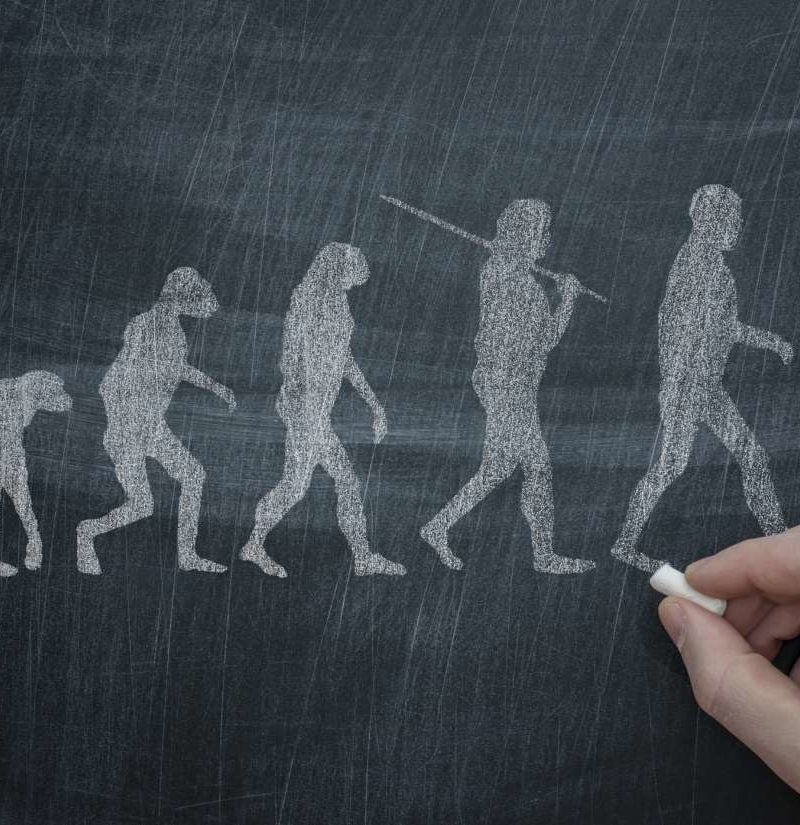 New research may explain why evolution made humans 'fat'