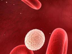 Agranulocytosis: Types, causes, and symptoms