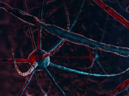 Alzheimer's: Protein from outside the brain may be involved
