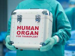 Pancreas transplant: Use, what to expect, and recovery