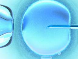 Three-parent IVF: the benefits and the risks