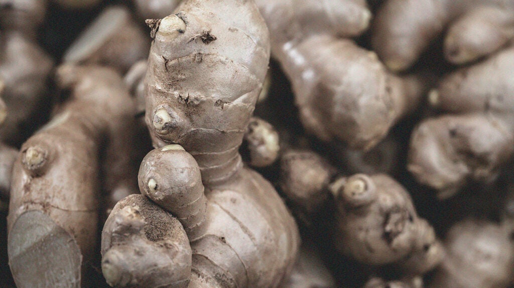 Could ginger ease lupus symptoms?