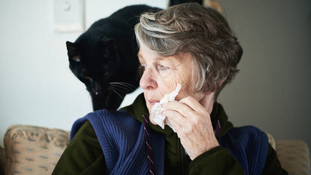 Animal allergy: Causes, symptoms, treatment, and more