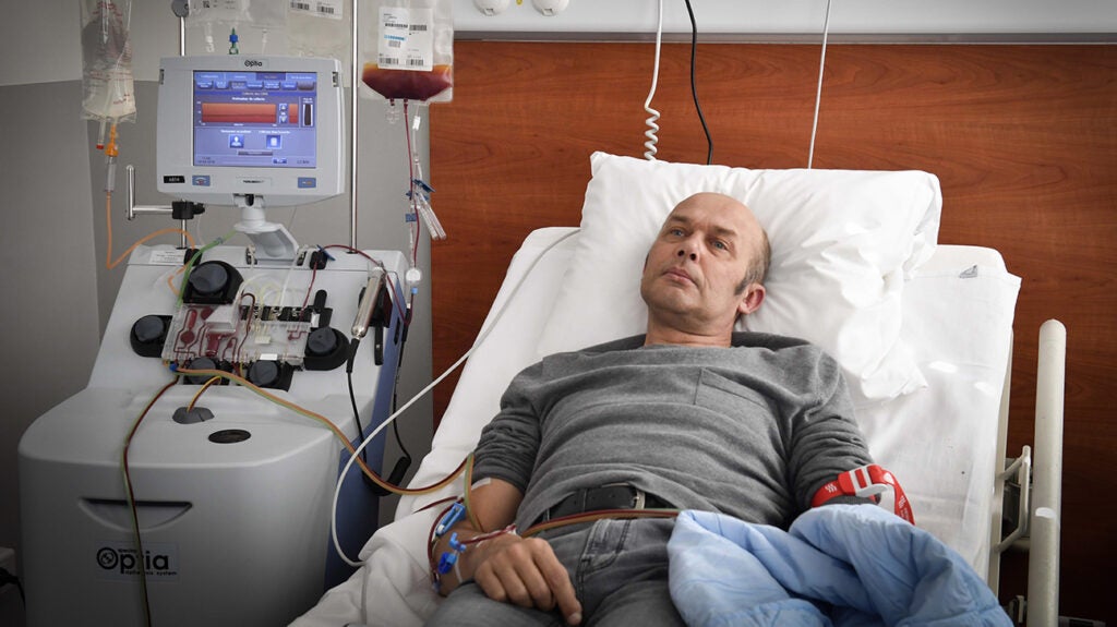 CAR T cell therapy explained: Cancer types, success rate, and more