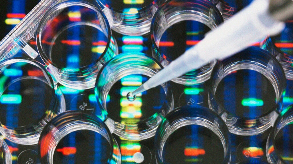 What is a PARP inhibitor? Uses, how they work, and options