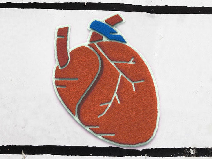 What is the function of the aorta?