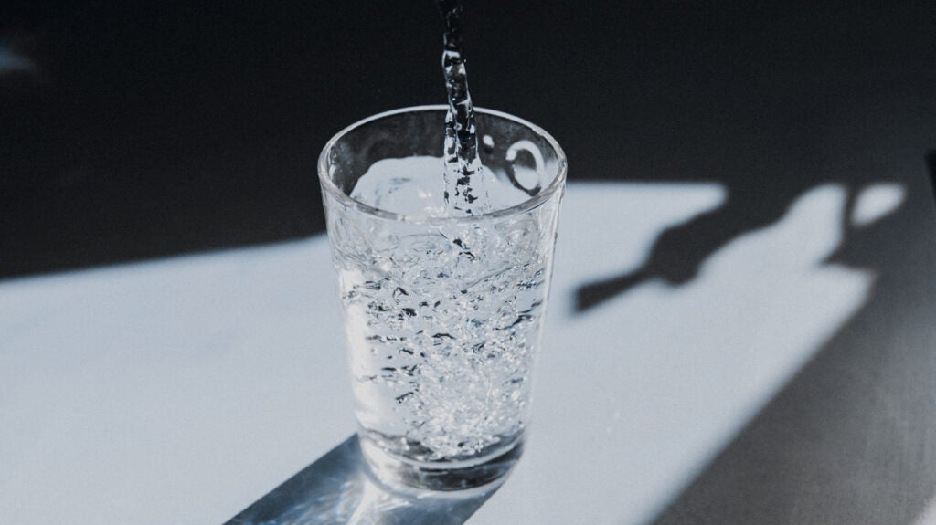 Monk fast: Benefits, rules, and more