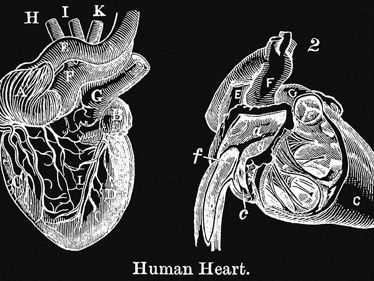 Cardiac embolism: Definition, signs, seeking help, and treatment