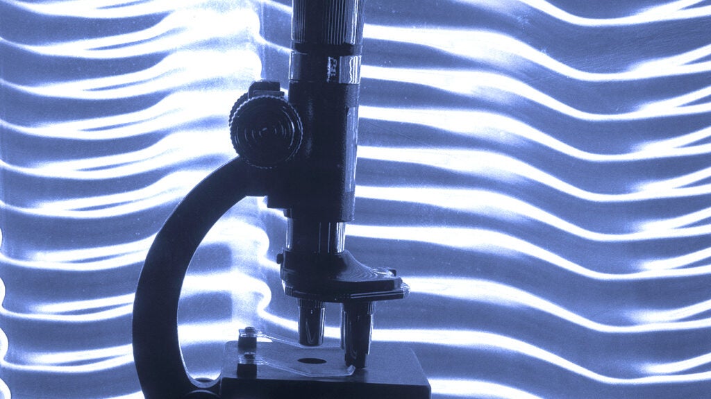 Beta cells in type 2 diabetes: The science explained