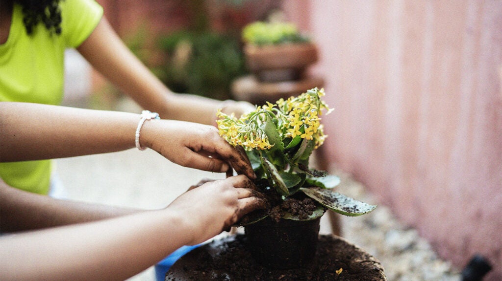 Body doubling for ADHD: Definition, how it works, and more