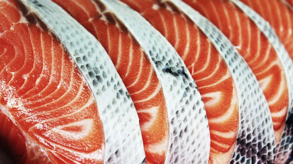 Can fish help protect our brains as we age?