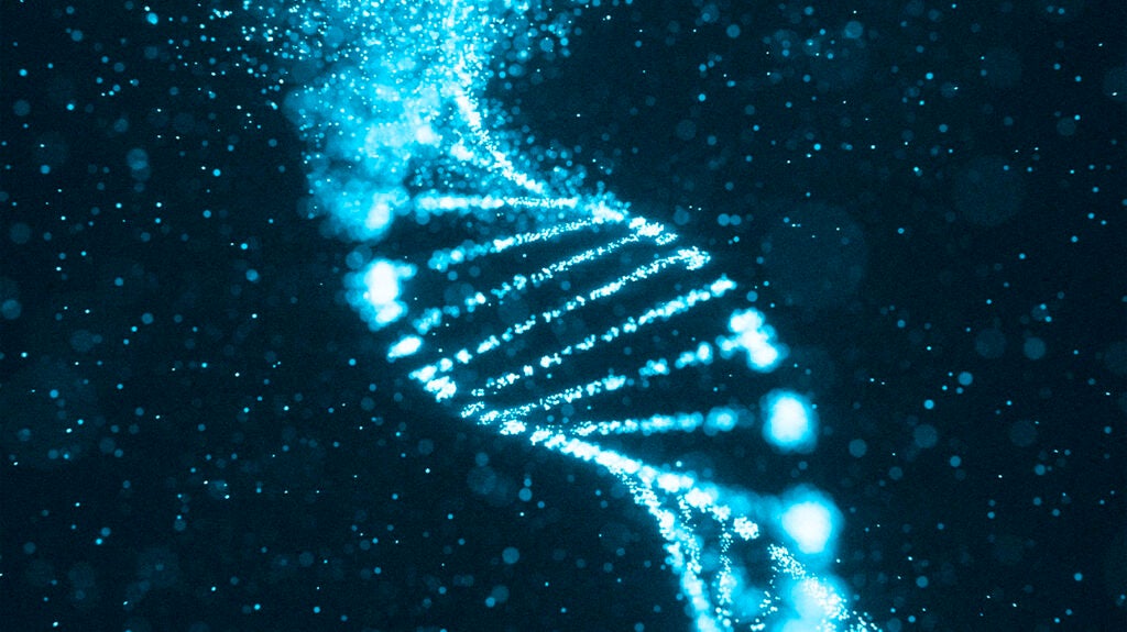 Is iron deficiency anemia genetic?