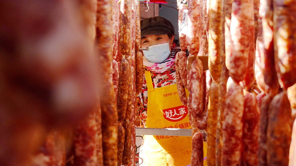 How the global meat trade is tied to global health