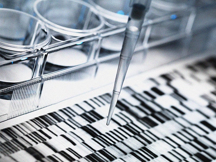 Hemochromatosis Gene