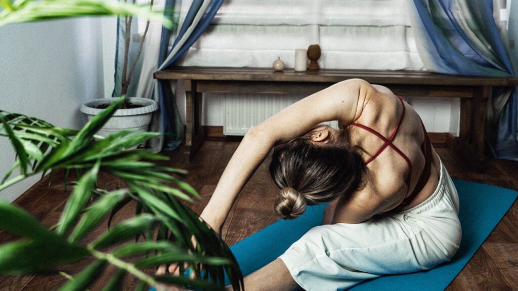 What are the different parts of the shoulder?