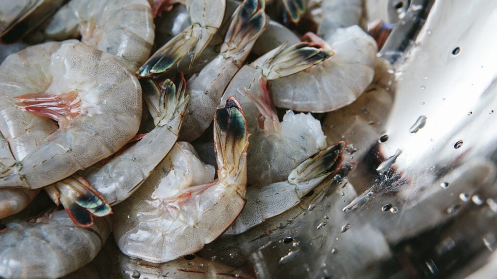 How much protein does shrimp contain?