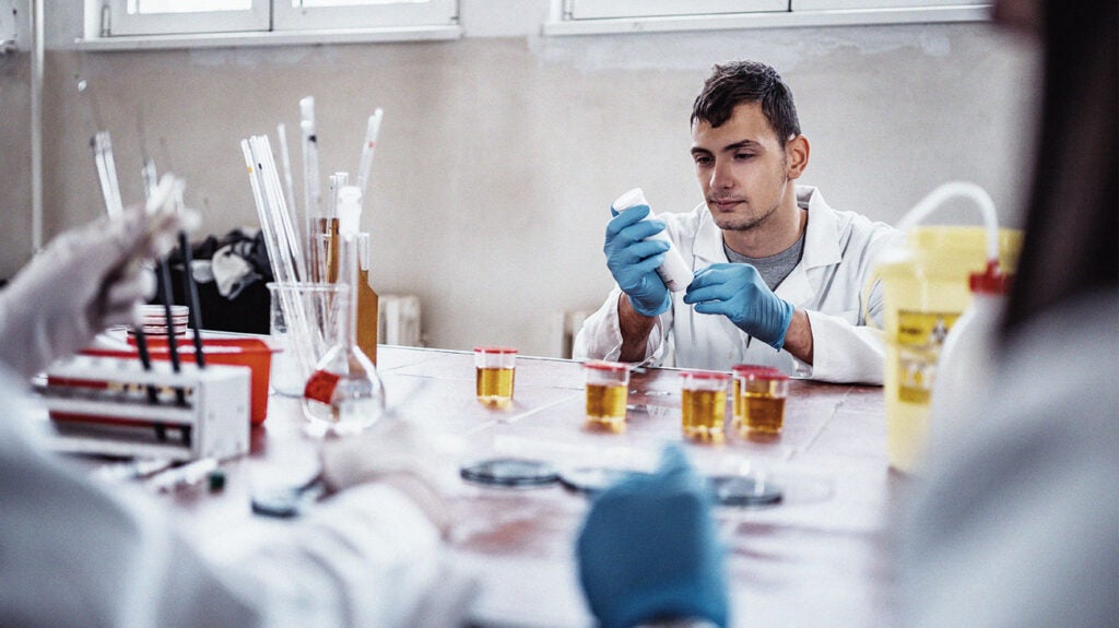 Urine specific gravity test: What is it, and what do results mean?