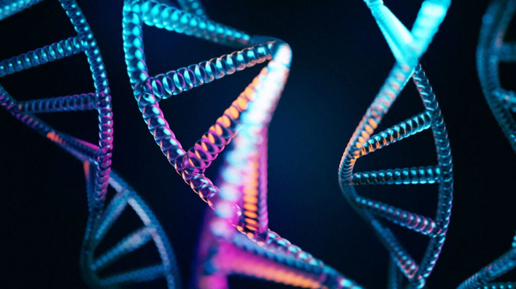 Hemophilia: Causes, types, symptoms, and treatment