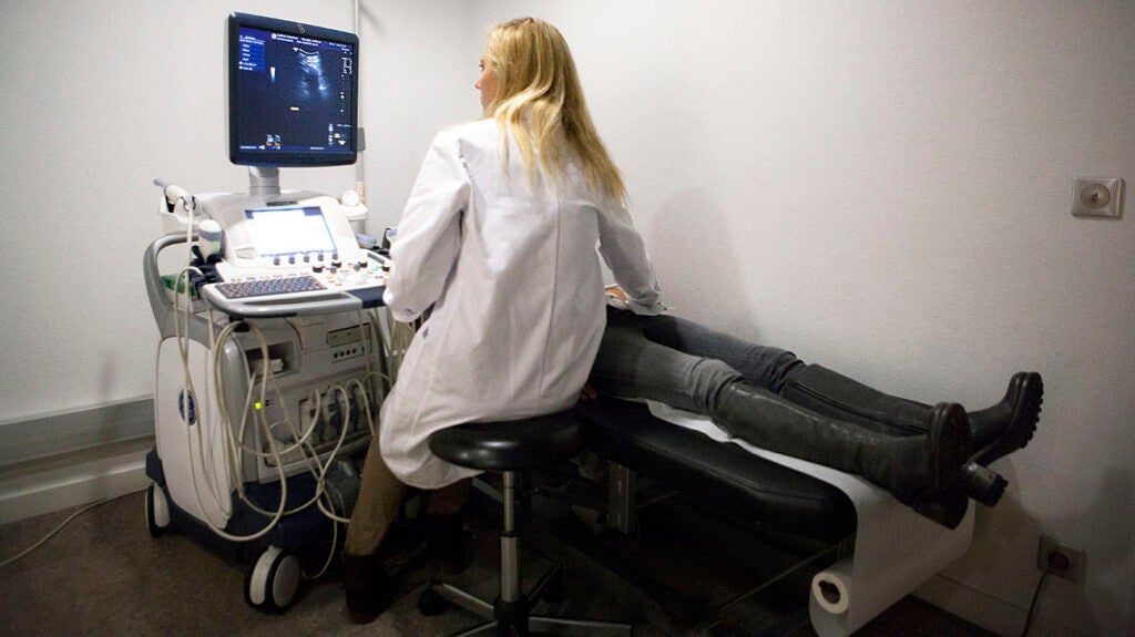 Trabeculated bladder: Symptoms, diagnosis, and outlook