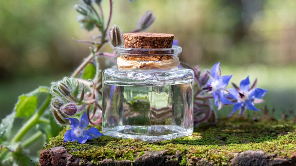 Borage oil: Does it help with eczema?