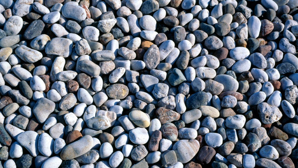 Pebble poop: Causes, remedies, and when to see a doctor