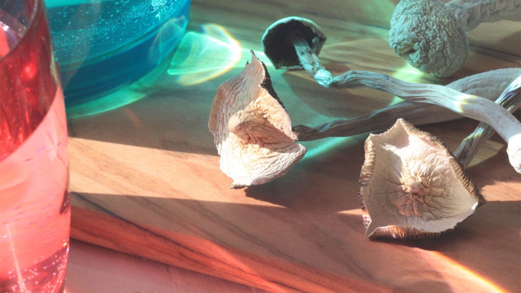 Can microdosing mushrooms reduce anxiety, depression, and stress?