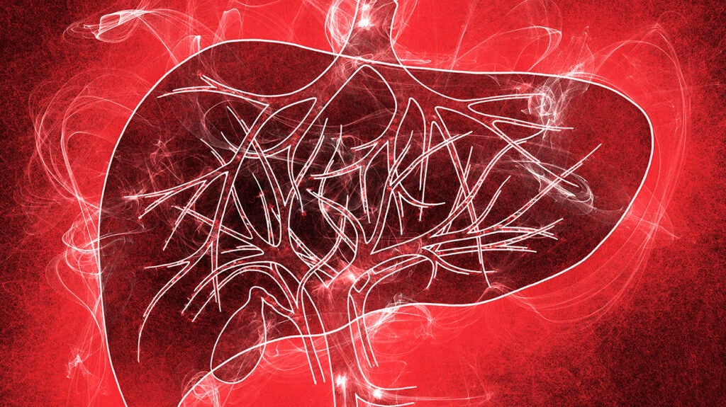 Living liver donor: Risks, results, and what to expect